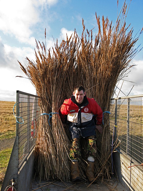 Coatham Marsh SSSI - Tees Valley Wildlife Trust