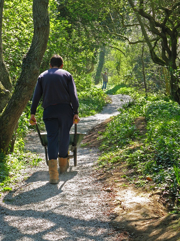 Saltburn Gill SSSI - Tees Valley Wildlife Trust