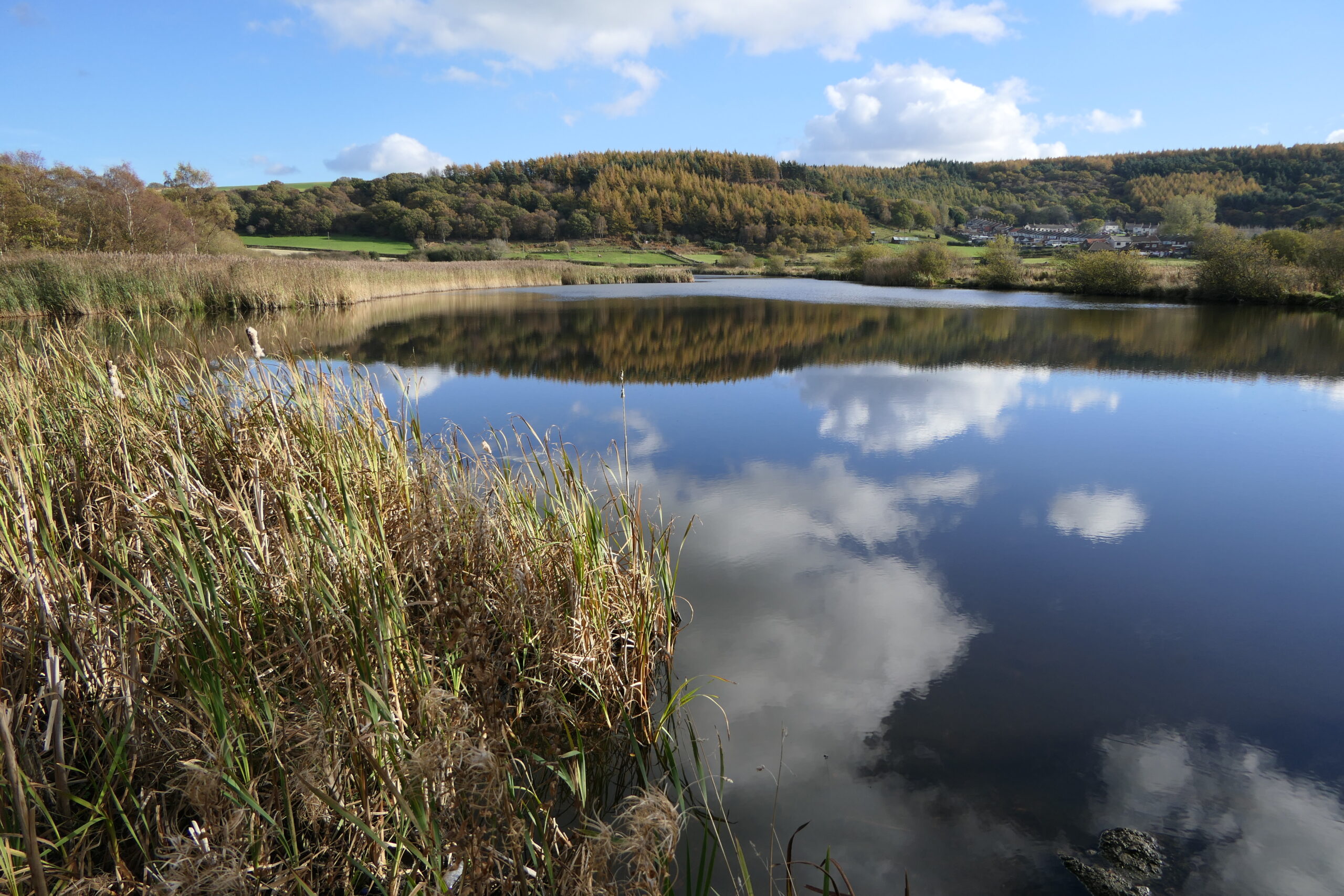 Nature Reserves - Tees Valley Wildlife Trust