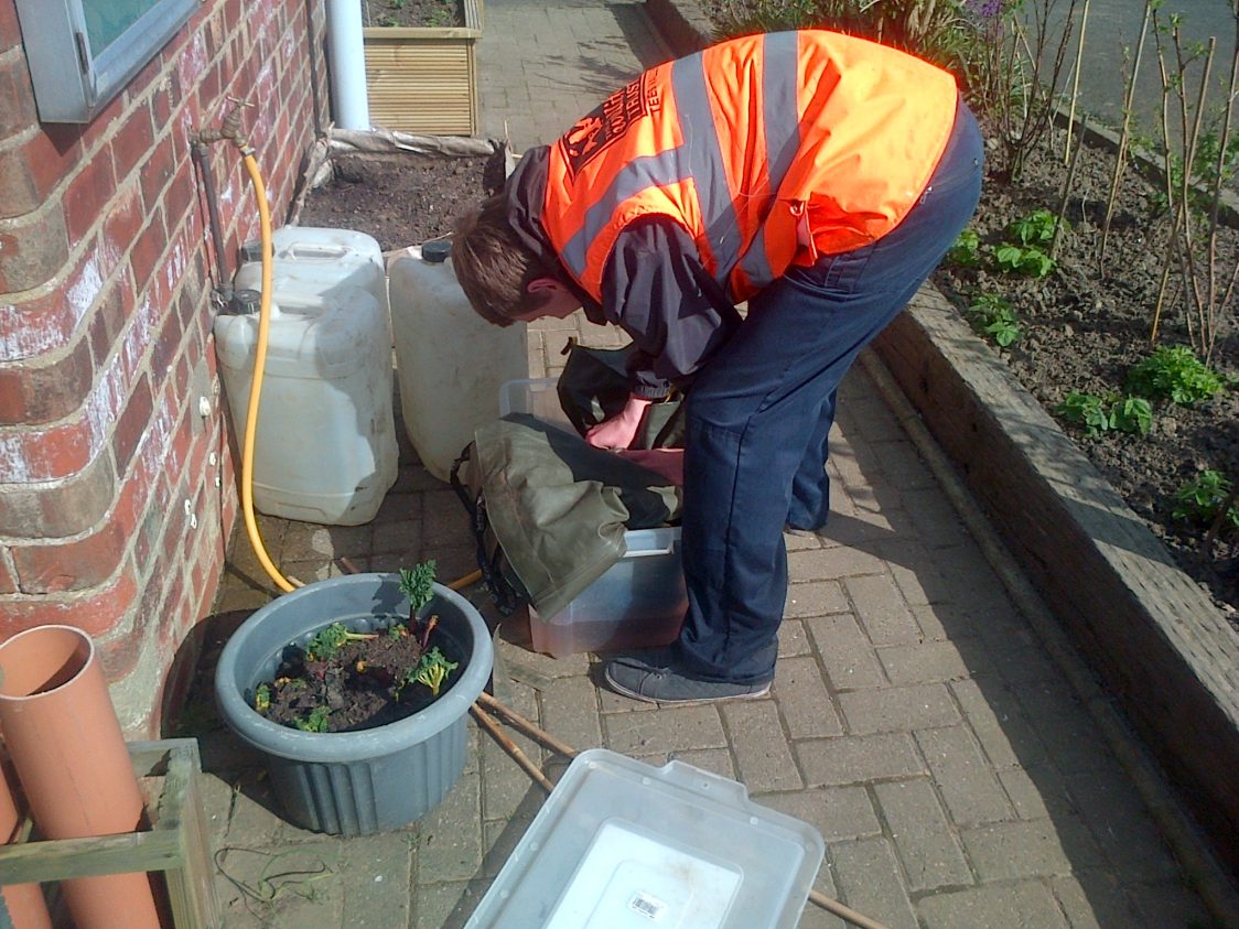 American Signal Crayfish - Tees Valley Wildlife Trust