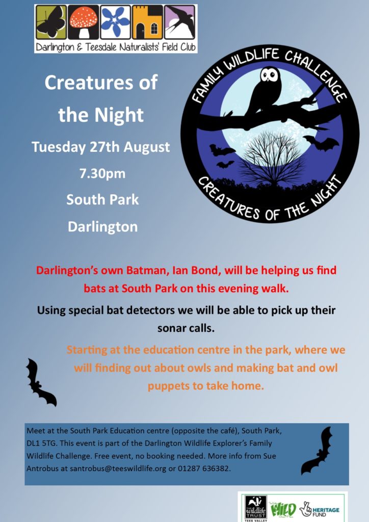 Bat Walk at South Park, Darlington - Tees Valley Wildlife Trust