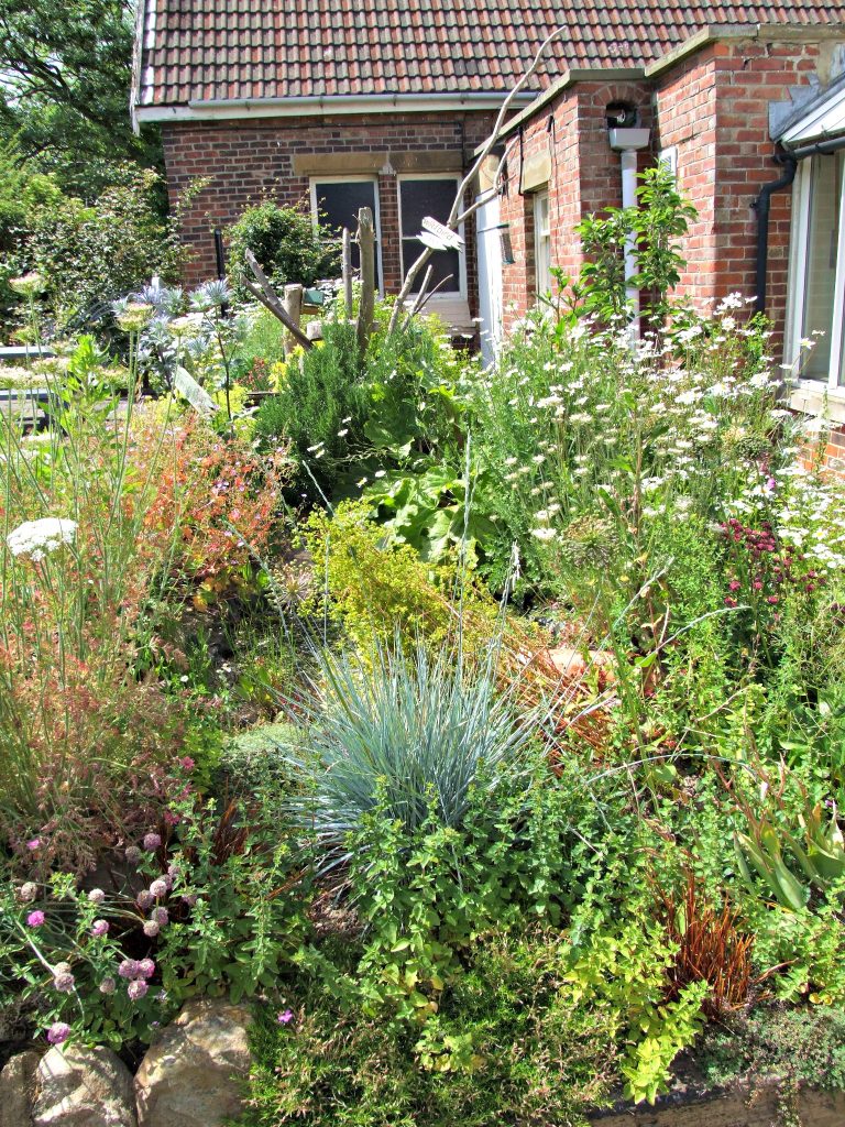 Growing Wild Garden - Tees Valley Wildlife Trust