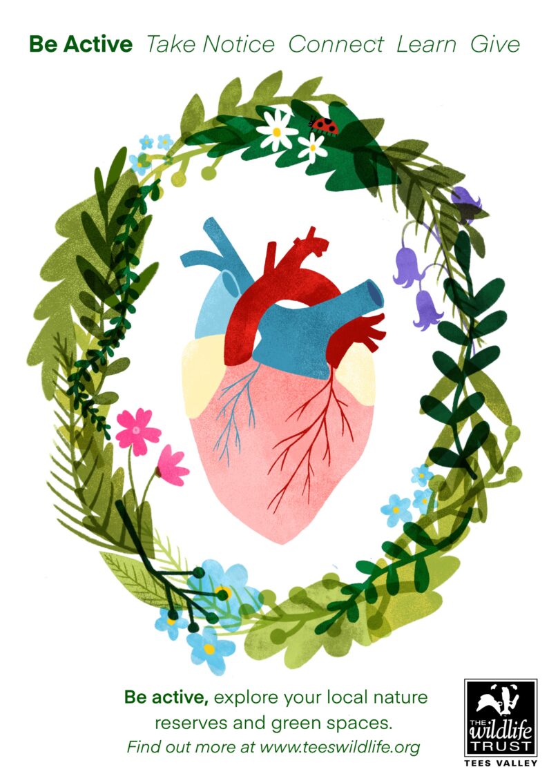 Up High on Hummersea - Tees Valley Wildlife Trust