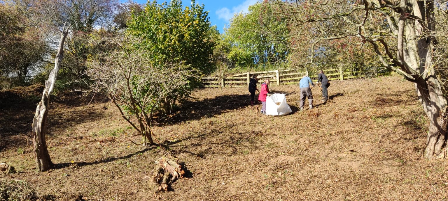 Bonny Grove weekend task - Scrub Bashing - Tees Valley Wildlife Trust