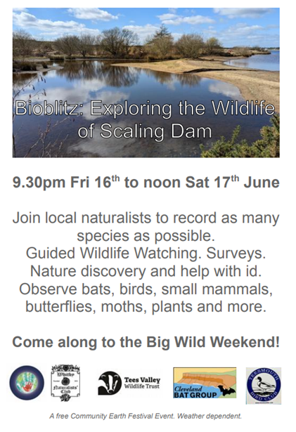 BioBlitz - Exploring Scaling Dam - Big Wild Weekend - Tees Valley Wildlife Trust