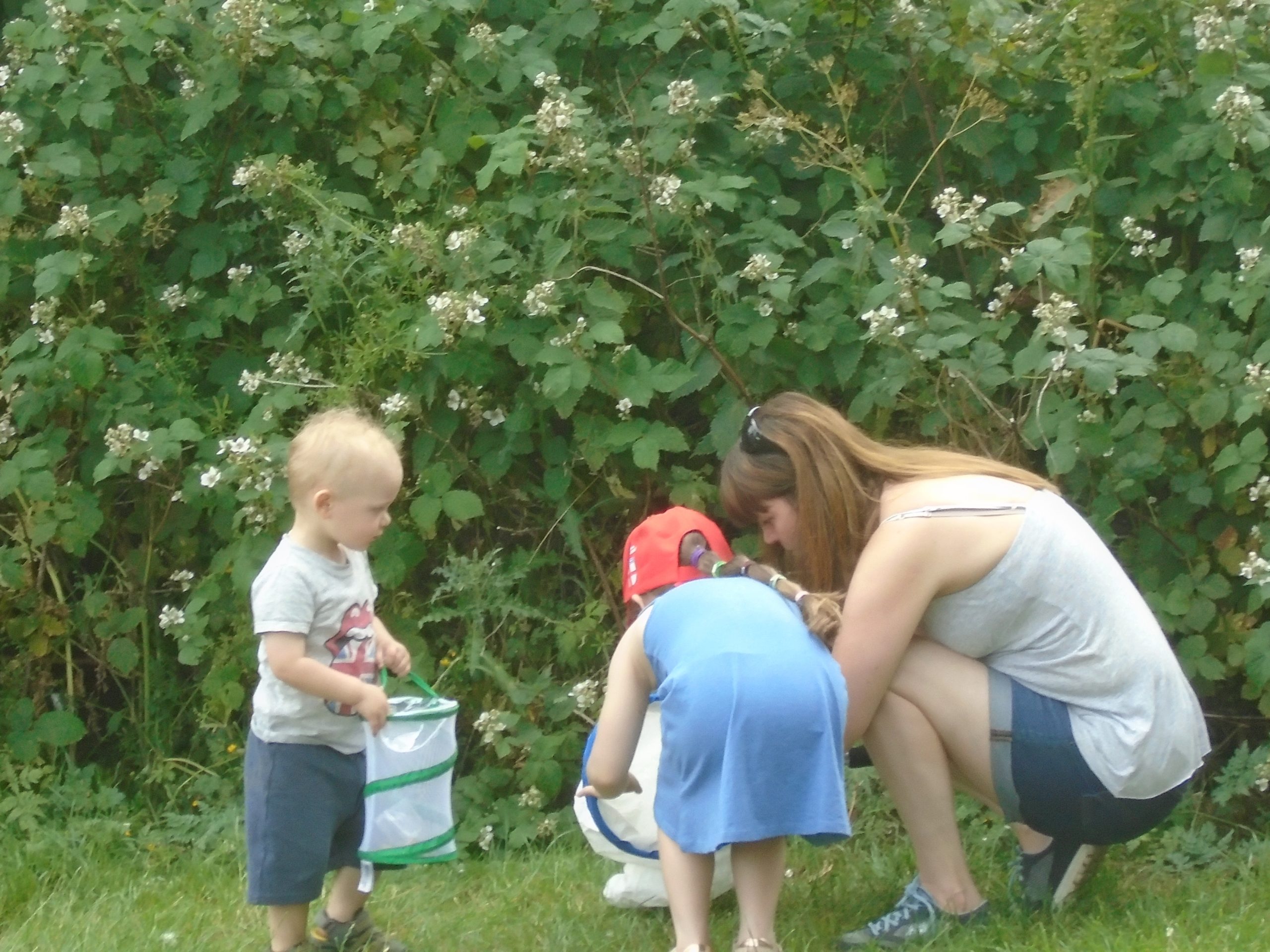 Grangetown Goes Wild About Snails - Tees Valley Wildlife Trust